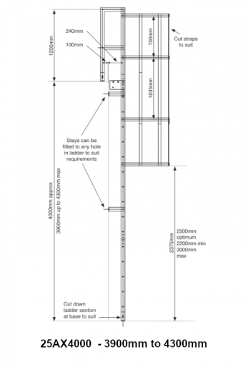 Vertical Access Cat Ladder Kit - Ladder Warehouse