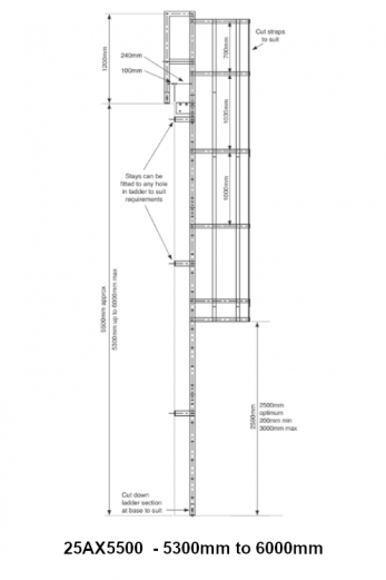 Vertical Access Cat Ladder Kit - Ladder Warehouse